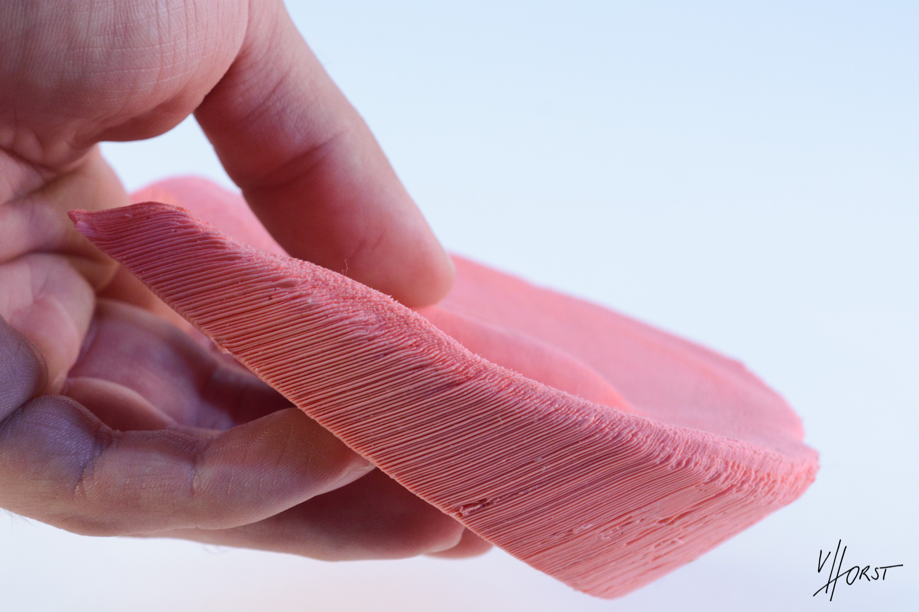 Hoof sectional anatomy plastinate moulage - Plastination shop