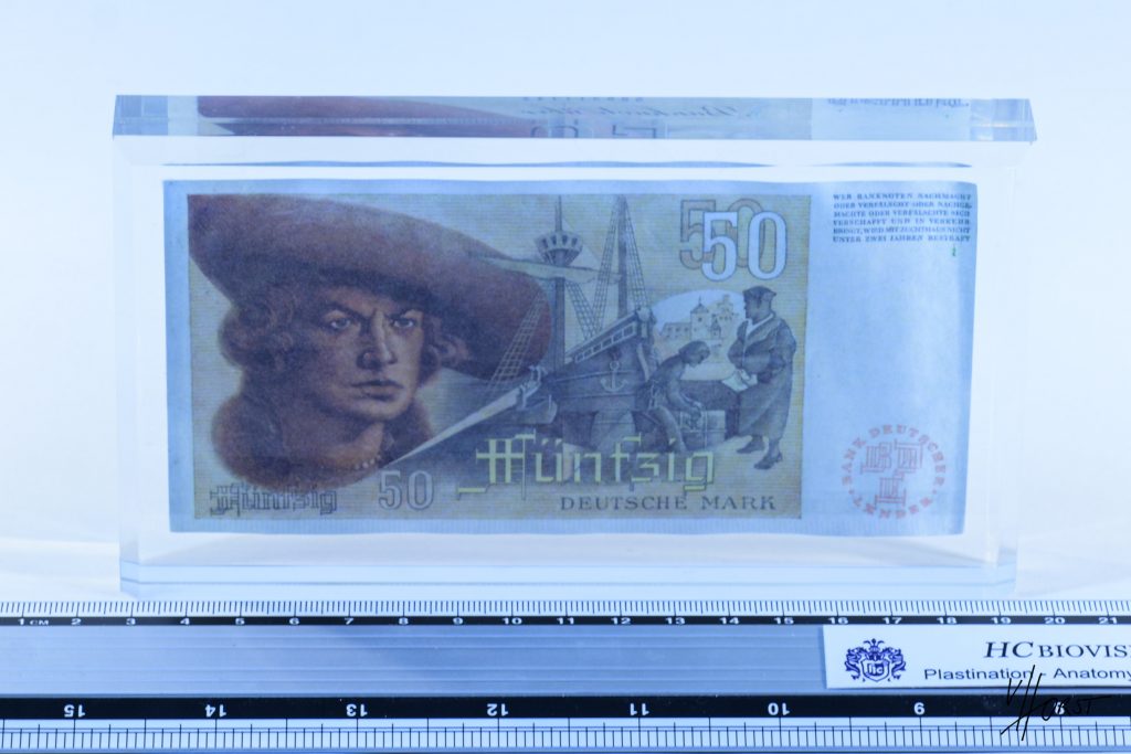 Bank note replica embedding - Plastination shop